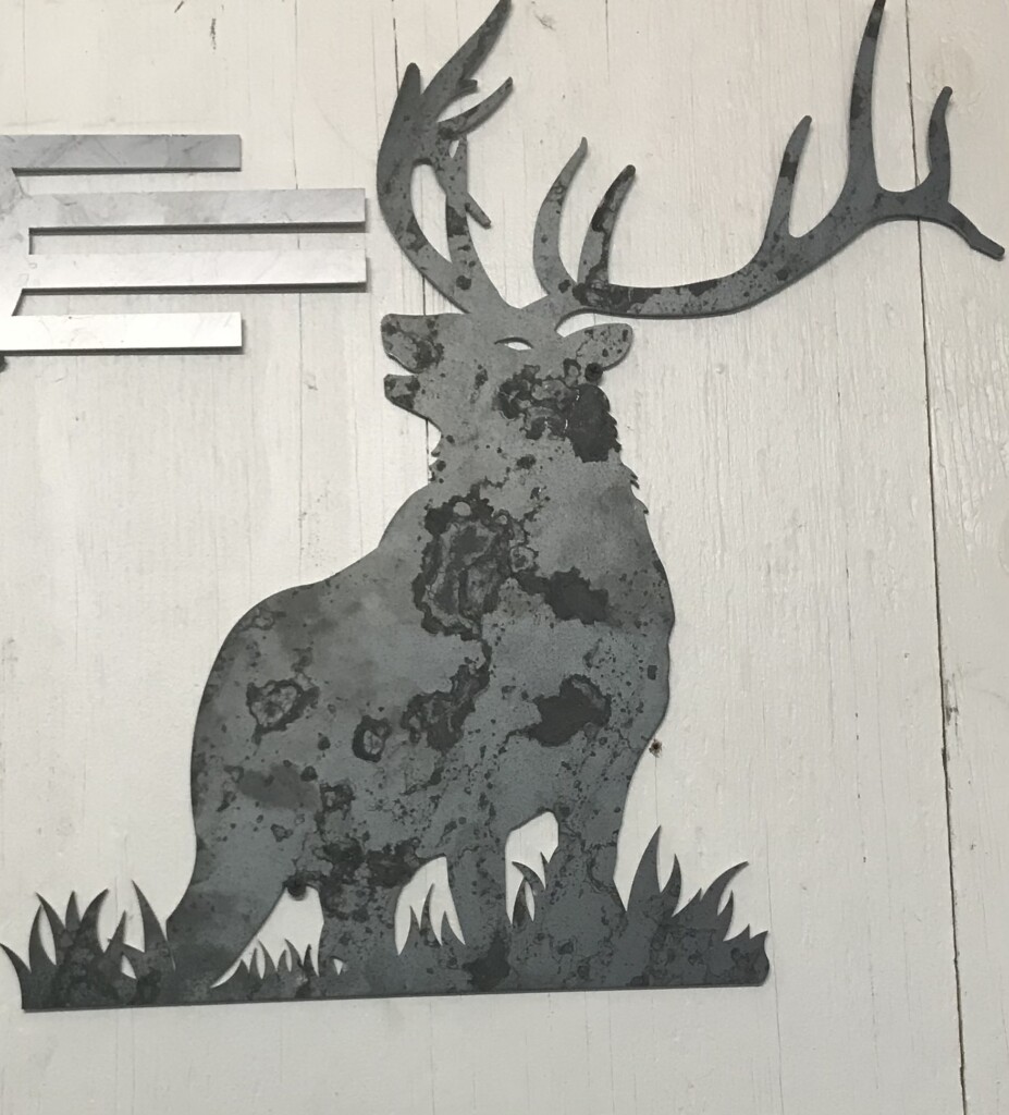 Steel cutouts – Neds Pipe and Steel